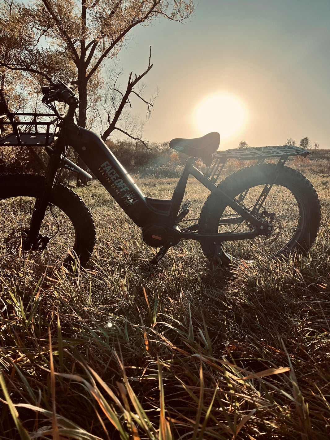 Switchback – FaceOff Ebikes