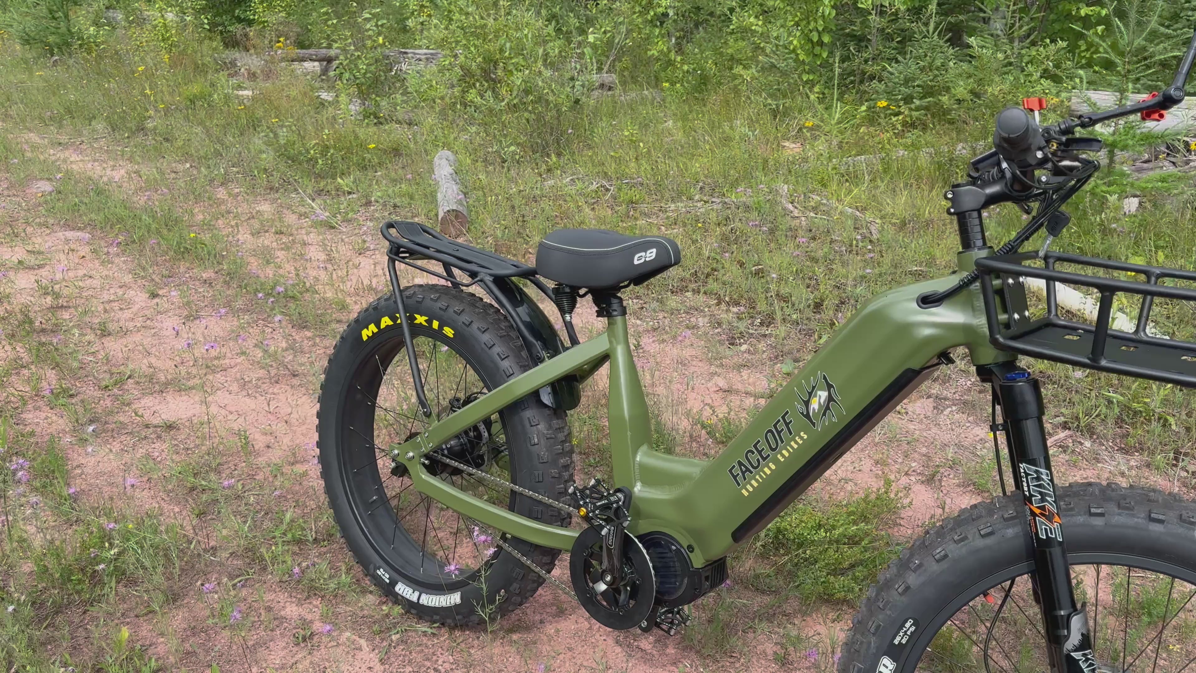 Switchback Berg - Rohloff Hub - 52v – FaceOff Ebikes